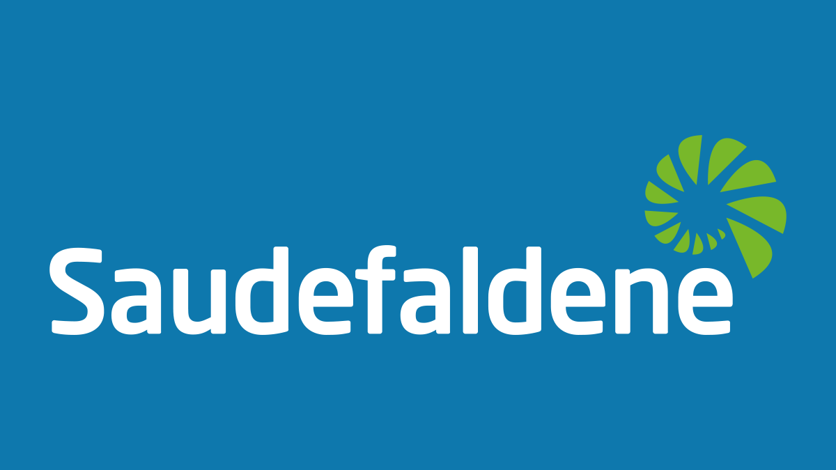 Sommerjobb for studenter - Saudefaldene